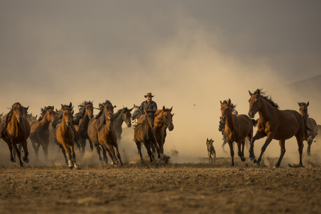 Fatih M. Topal | The Route Photography Gallery